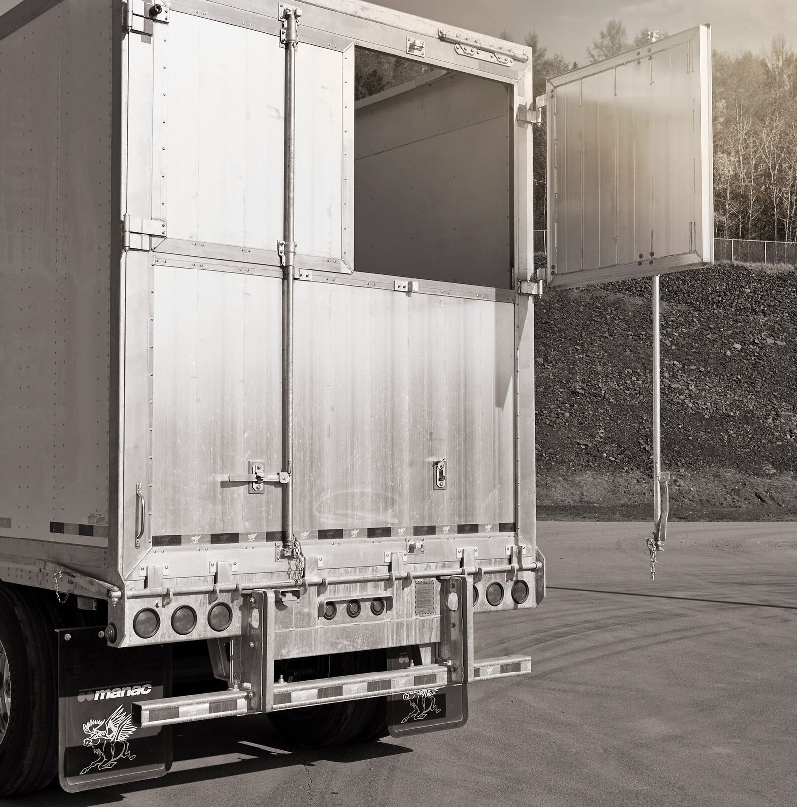 BULKWING Wedge Chip Van | Manac