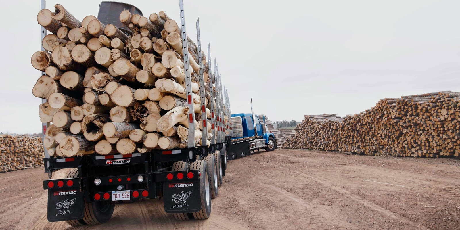 Imarcom - Gallery | Manac