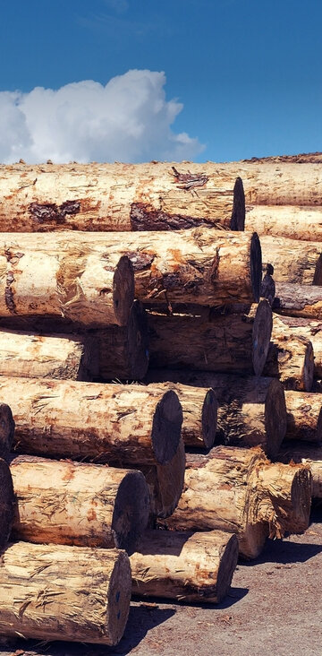 Find your trailer | Manac